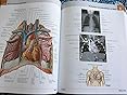 Atlas of Human Anatomy: with Student Consult Access (Netter Basic ...