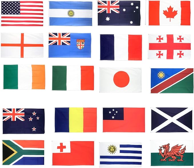 The Bunting Store Rugby World Cup 2019 Flag Pack - 20 Large 5'x3 ...
