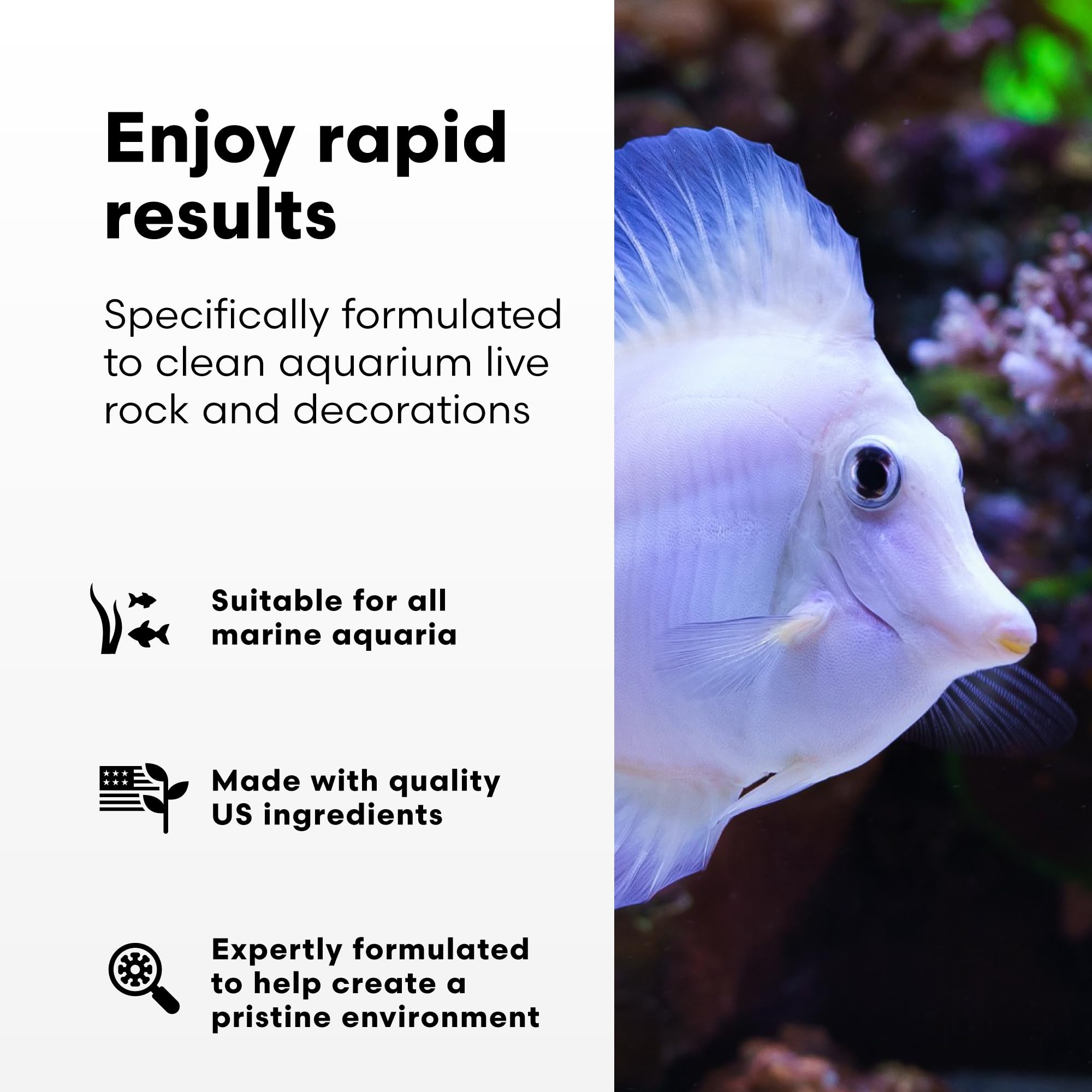 Mua Brightwell Aquatics MicroBacter Clean - Microbial Culture & Enzyme ...