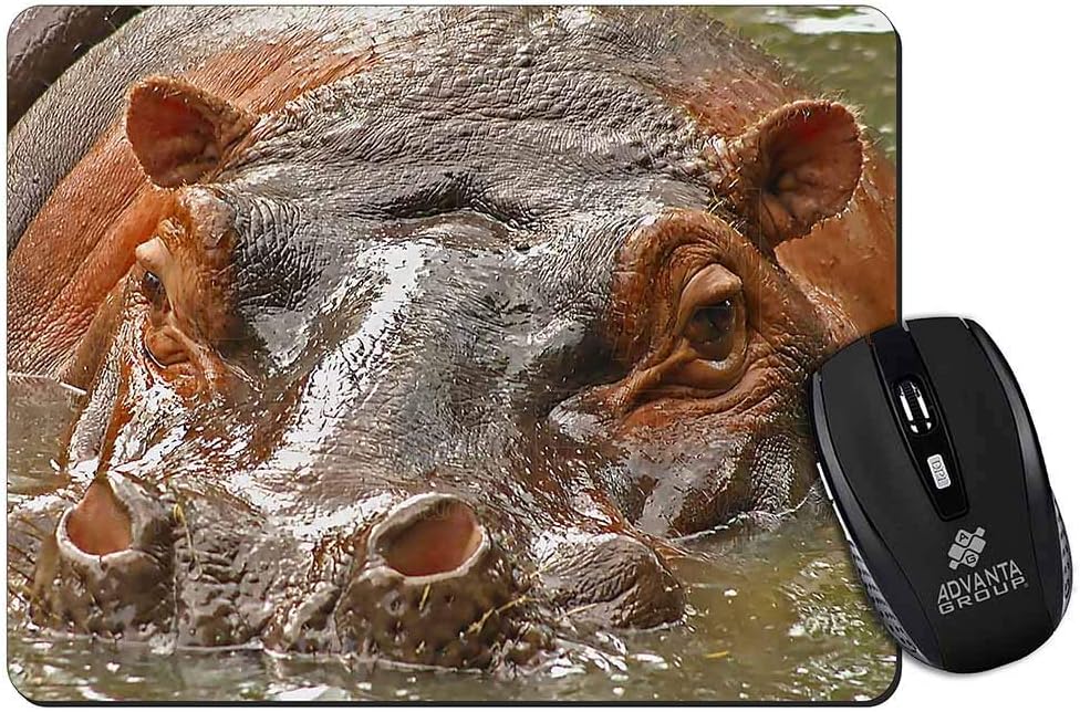 Advanta Group Hippopotamus, Hippo Computer Mouse Mat: Amazon.co.uk ...