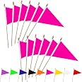 Amazon.com : LyButty 20 Pack Solid Color Pink Blank Pennant Flags on ...