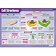 Amazon.com: Daydream Education Cell Structures Science Poster ...