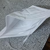 Magnum Flat Fold Respirator with NIOSH N95 Certification, Pack of 2 ...