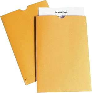Amazon.com : School Smart Report Card Envelope, 28 lb, 6 x 9 Inch ...