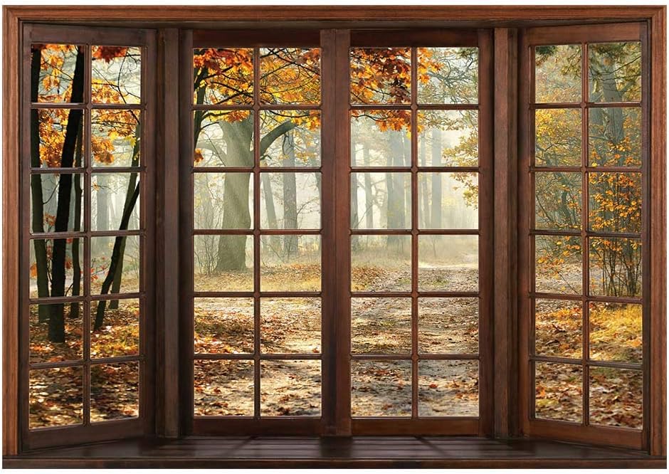 Allenjoy Fall Window Backdrop Autumn Landscape Forest Photography ...