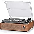 Amazon.com: Vinyl Record Player with Speakers Vintage Turntable for ...