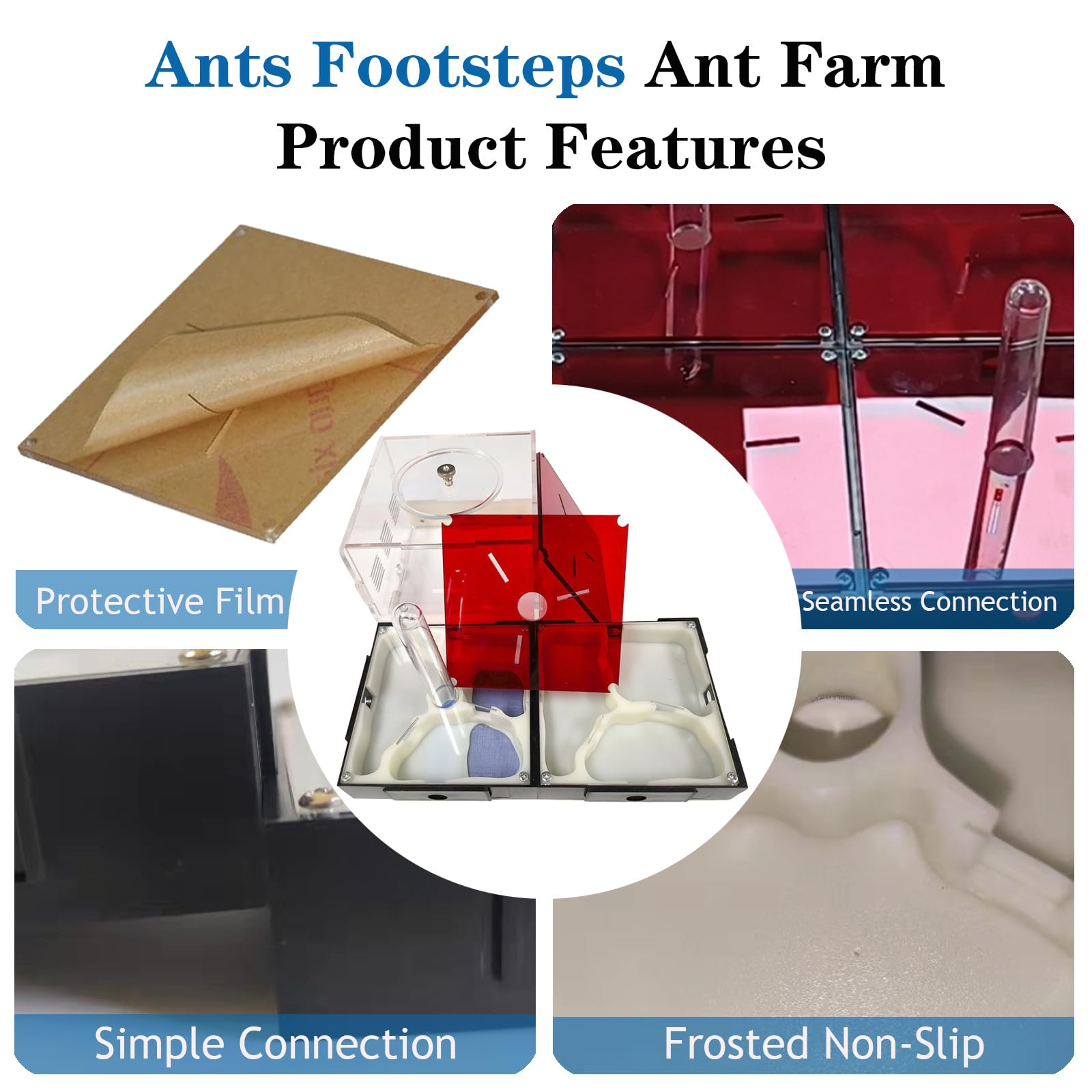 Mua Ant Farm Nest Science DIY Terrarium Kit Care for Live Ants Ant ...