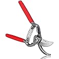 Amazon.com : Corona Tools | ClassicCUT ClassicCUT® Branch & Stem Pruning Shears for Gardening ...