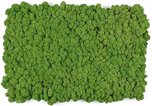 Amazon.com: Living Moss Wall Tile : Home & Kitchen