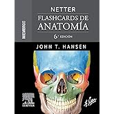 Netter. Flashcards de anatomía. Tronco y órganos internos (6ª ed.) : J ...