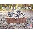 Amazon.com: Pitbull Puppy Calendar 2025 Monthly Wall Calender 12 Month ...