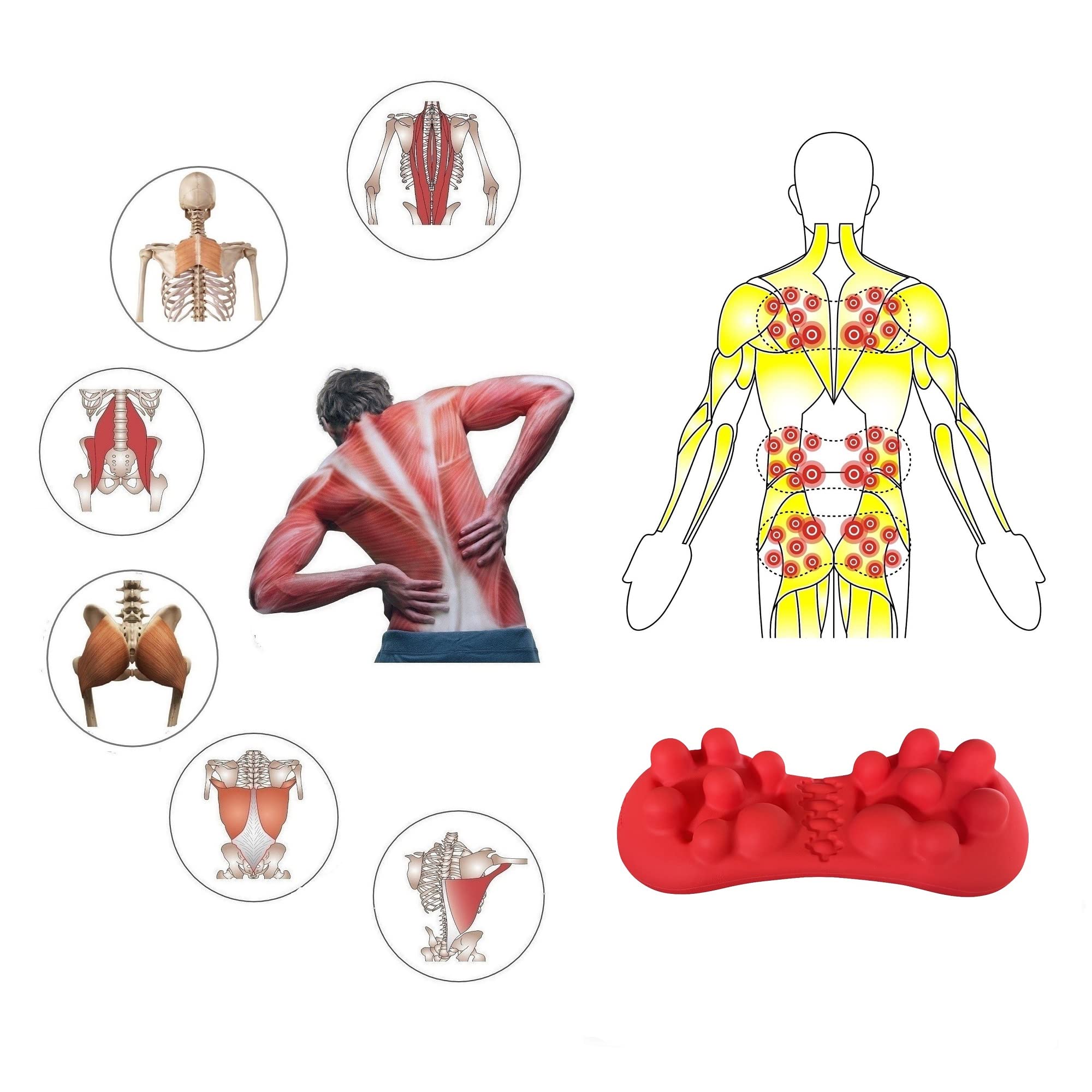 Mua Back Trigger Point Massager, Gluteus Massager, Myofascial Release ...