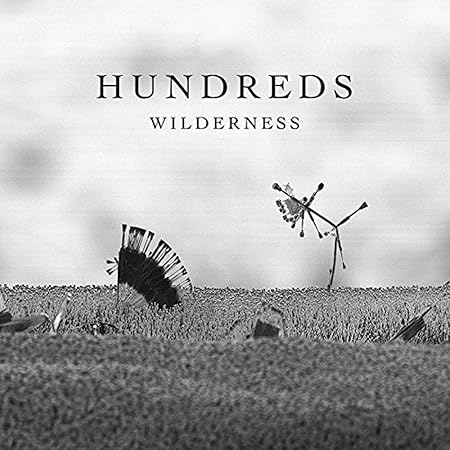 Wilderness - Limited Edition, Doppelvinyl (inkl. Artwork Poster, CD ...