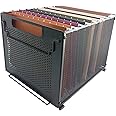 Amazon.com: SETTFRFE Letter-size Hanging File Folder Organizer,Metal ...