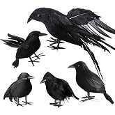 Amazon.com: yumhum 6 Packs Real Feathered Halloween Black Crows ...