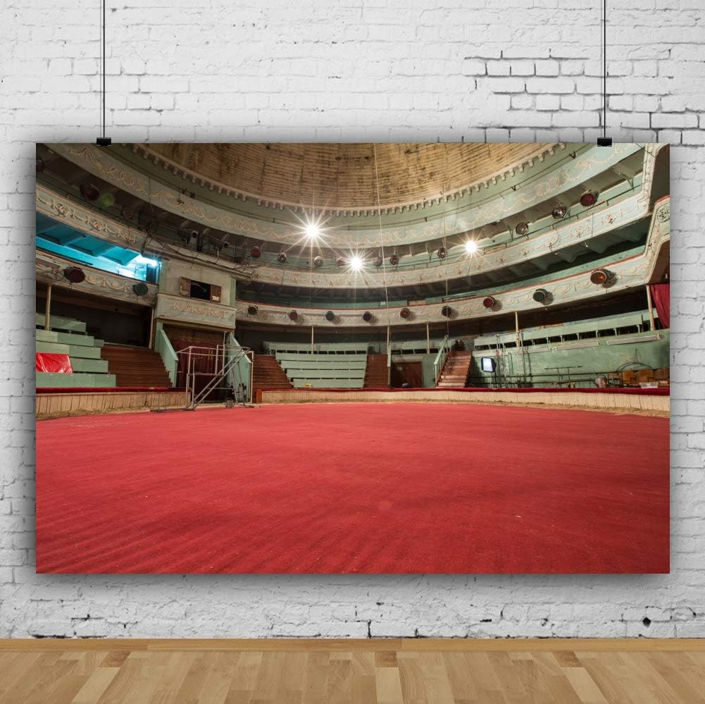 Leyiyi Gymnasium Backdrop 12x10ft Photography Backdrop Audience Area ...