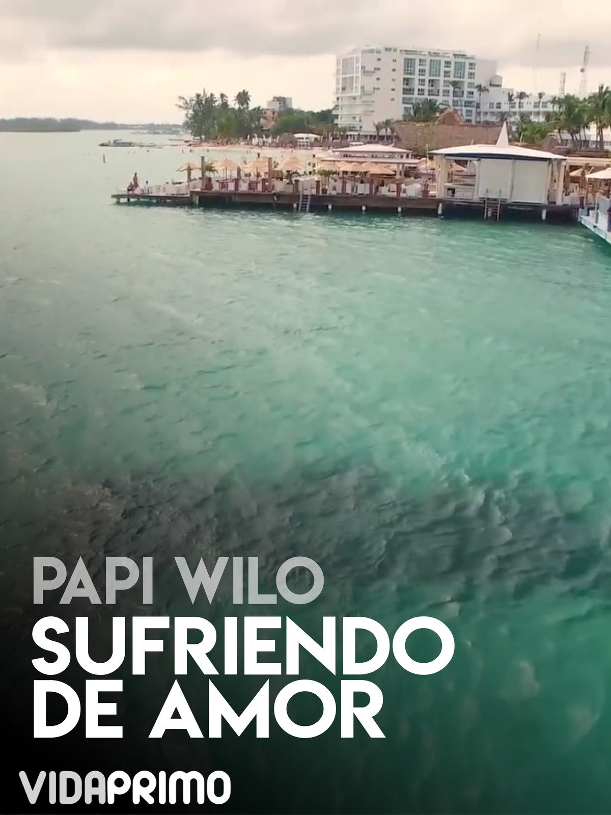 Amazon.co.jp: Papi Wilo - Sufriendo De Amor : Papi Wilo, Papi Wilo ...