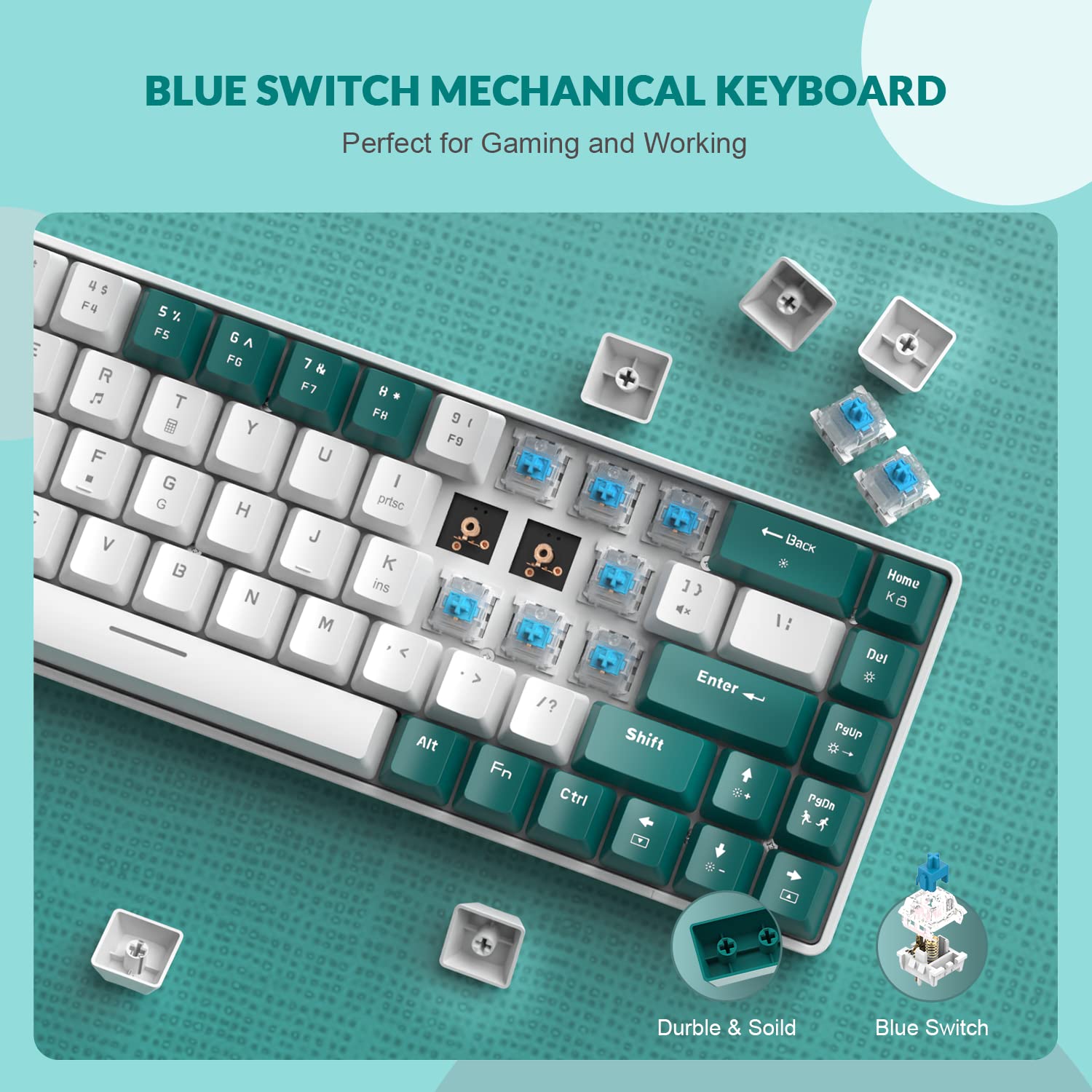 Mua ZIYOU LANG RK-T8 Wired 65% Mechanical Gaming Keyboard with RGB LED ...