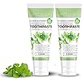 Amazon.com : Optivida- Colloidal Silver Coral Toothpaste | Calcium ...