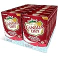 Amazon.com : Canada Dry Powder Drink Mix – Sugar Free & Delicious ...