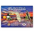 Amazon.com : Florida MAP Postcard Set of 20 Identical Postcards. FL ...