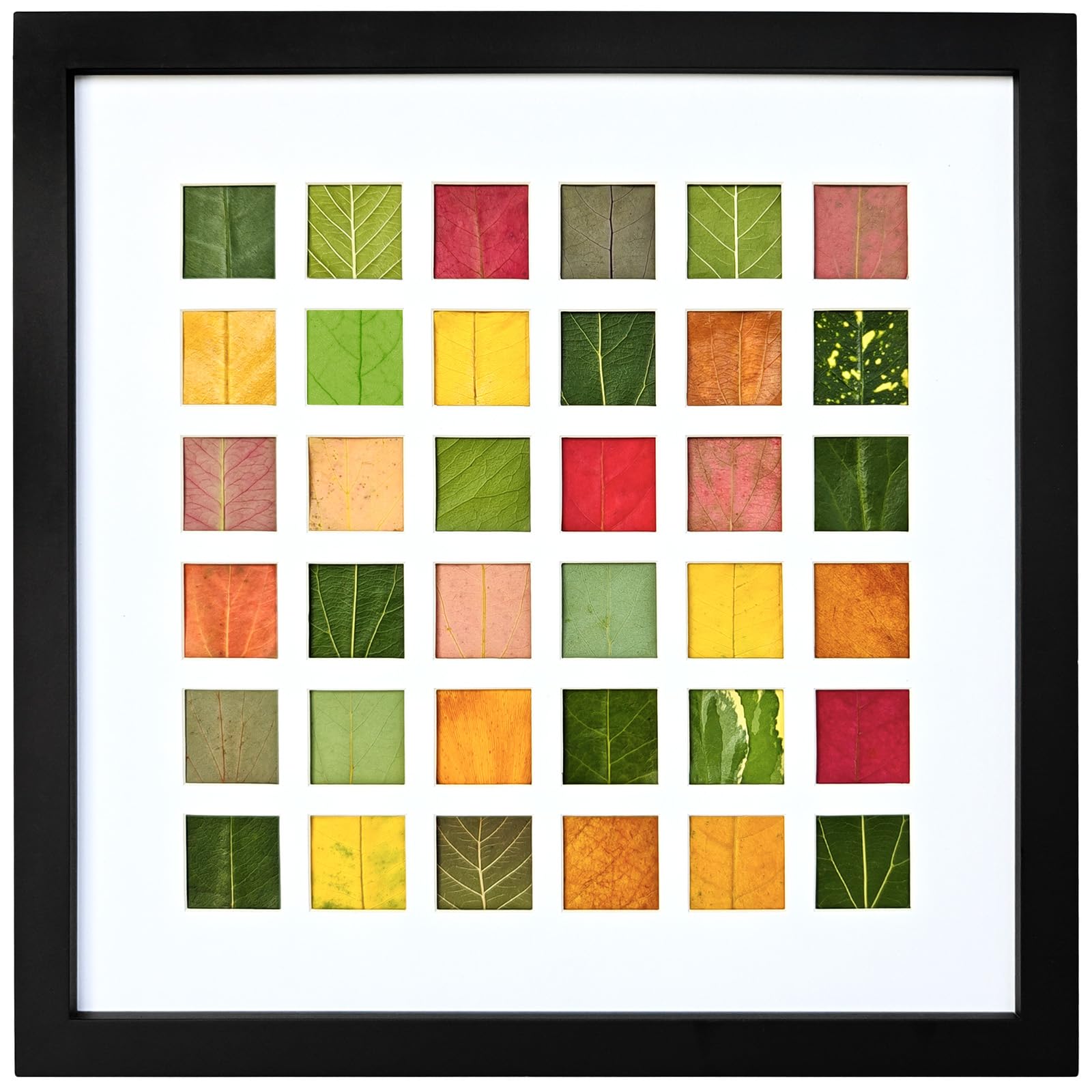 ISYOKE 36-Grid Black picture frames collage wall decor, Perfect for ...