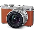 Amazon.com : Panasonic LUMIX S9 Full-Frame Mirrorless Camera with S 18 ...