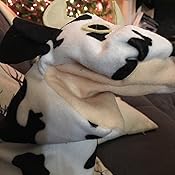 Amazon.com: Baby Einstein Five Puppet Set: Toys & Games