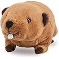 Amazon.com: Lifelike Beaver Stuffed Animal with Big Front Teeth ...