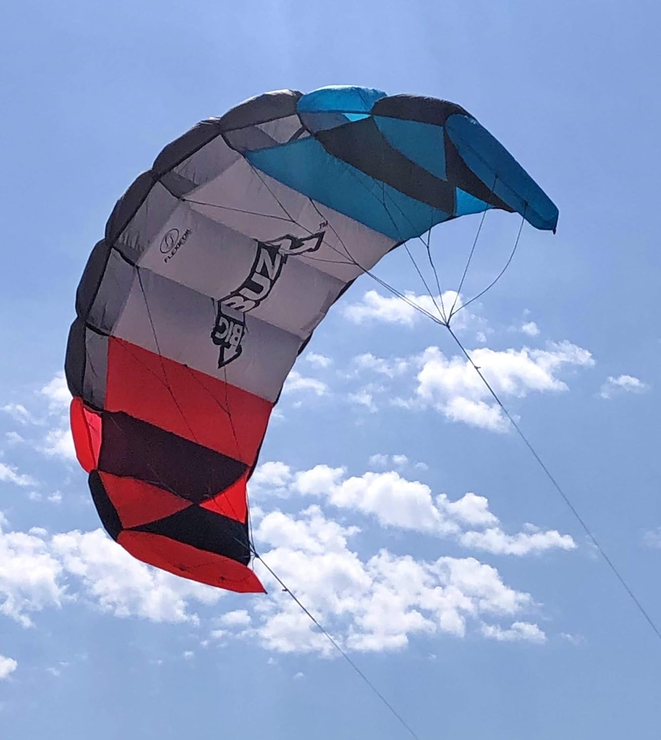 Flexifoil 1.6m2/2.05m Big Buzz 2-Line Sports Power Kite – BigaMart
