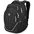 Amazon.com: Swissdigital Design TERABYTE TSA Business Laptop Backpack ...