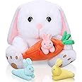 Amazon.com: Chalyna Bunny Stuffed Animals with 3 Bunnies in a Carrot Rabbit Decor 10 Inches ...
