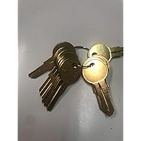 Lot 50 pc Y13 Key Blanks / Y13 O1122R Key Blank - Amazon.com