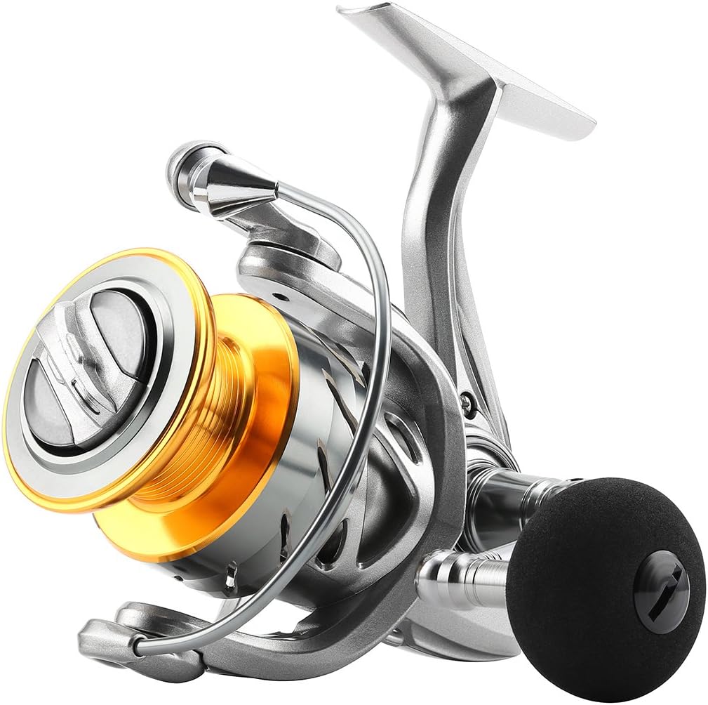9 Types Of Fishing Reels Explained 2021 Informational Guide