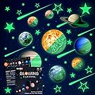 Amazon.com: Glow in The Dark cat Butterfly Wall Decals - Glow Wall ...