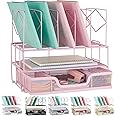 Amazon.com: gianotter office catalog racks, Desk Organizers and ...