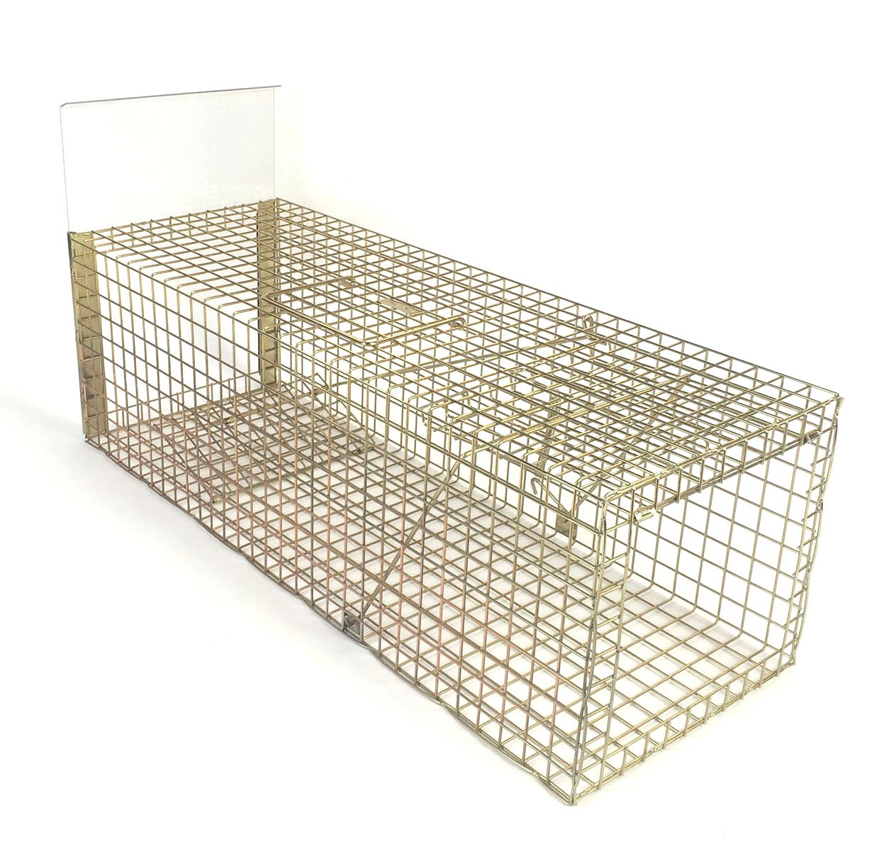 Buy TrapMan Professional Feral Cat Trap Pro Gold Feral cat trap humane ...