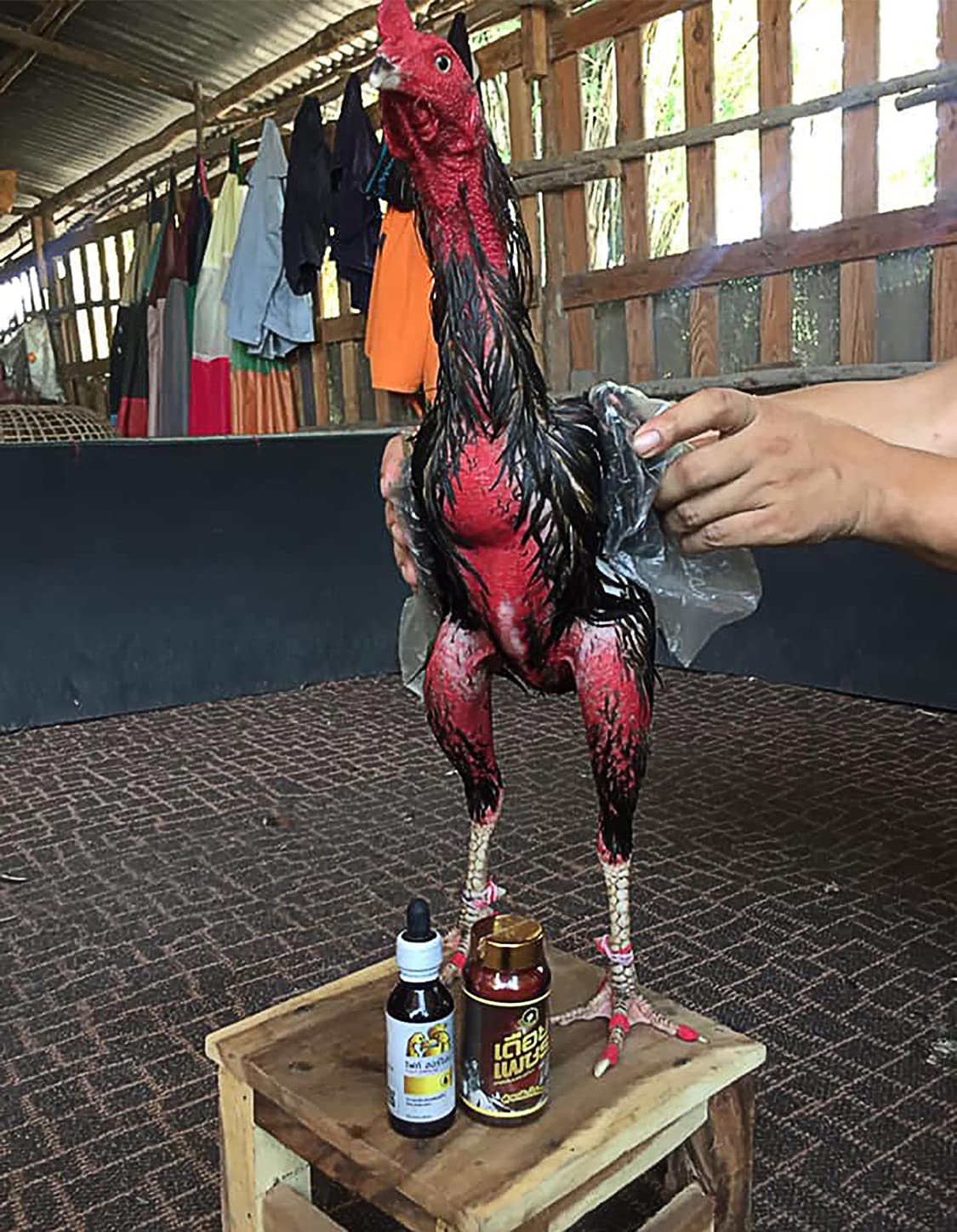 Mua HULX 80 Capsule, Rooster Booster WHEY PLUS Vitamins Health Chicken ...
