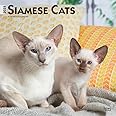 Siamese Cats | 2025 12 x 24 Inch Monthly Square Wall Calendar | Plastic ...