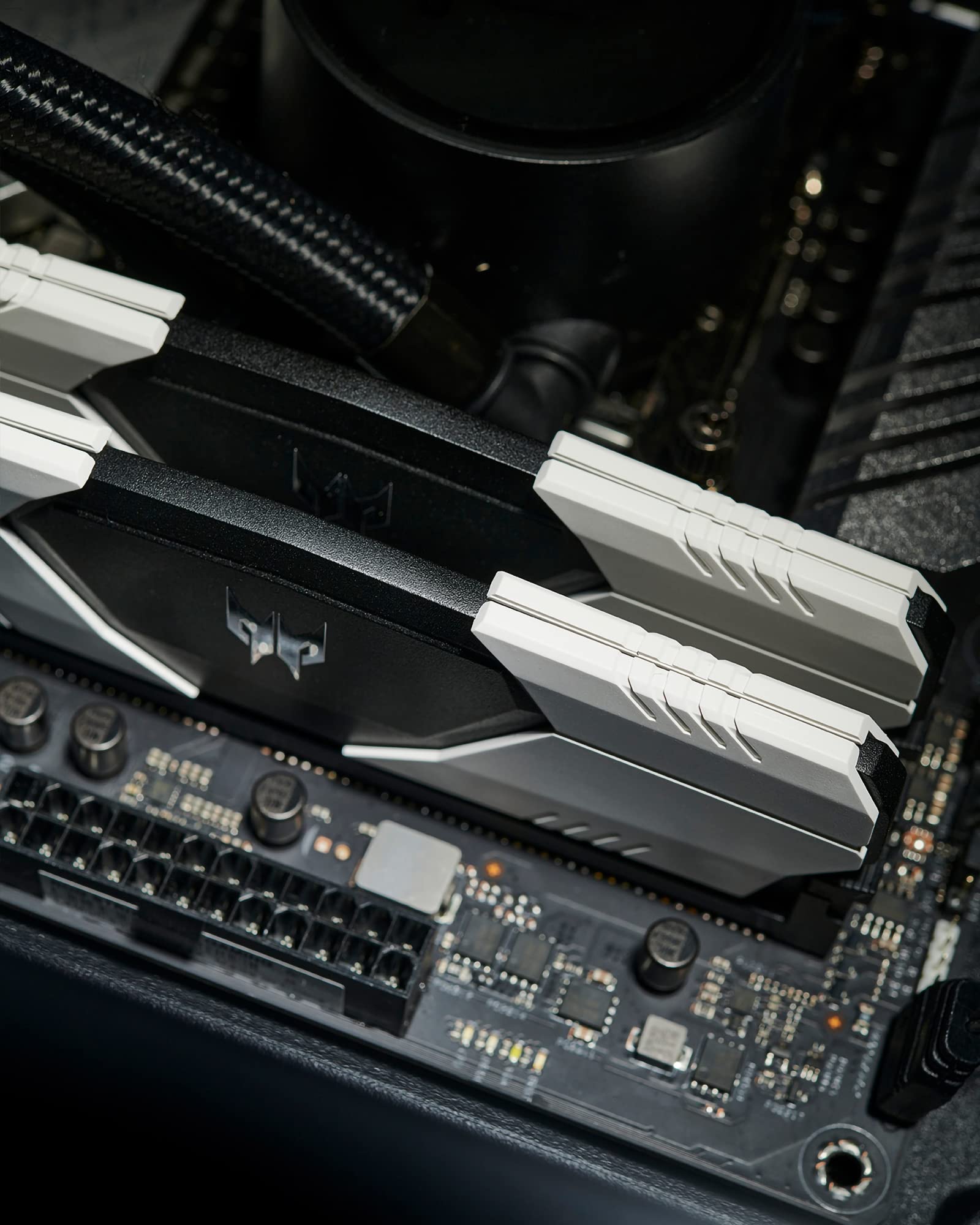 Mua Acer Predator Talos 16GB (8GBx2) RAM 3000 MHz DDR4 CL16 1.35V ...