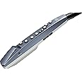 Amazon.com: Roland AE-01 Aerophone Mini Digital Wind Instrument, Blue ...