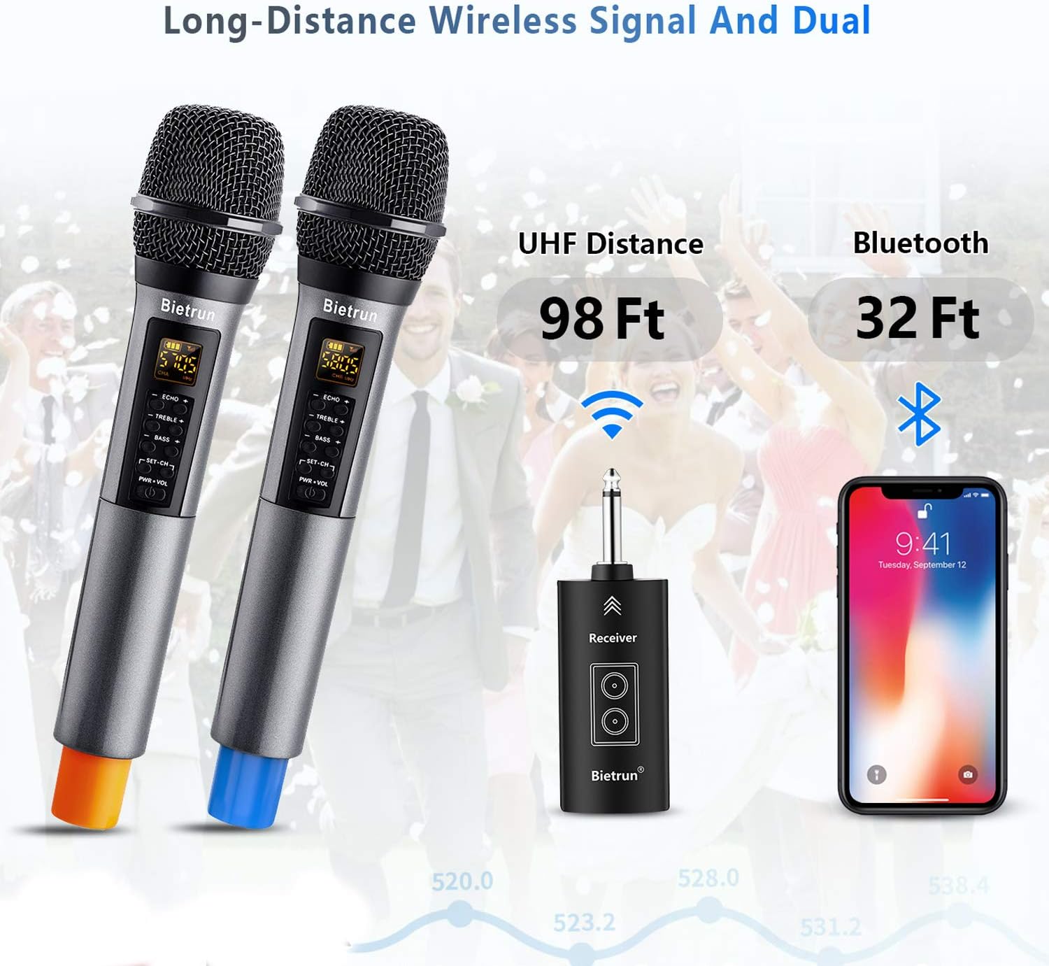 Bietrun UHF Wireless Microphone Wireless Microphone Dual Microphone ...