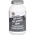 Permatex 76767 Silver Anti-Seize, 454g : Amazon.ca: Automotive