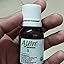 Buy Allin Exporters Tea Tree Essential Oil, 15ml Online at Low Prices ...
