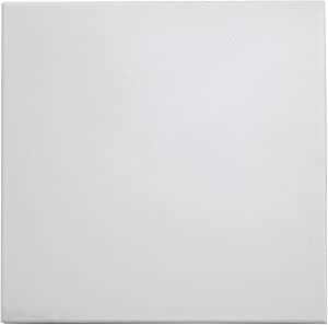 Amazon.com: Lutron PHPM-SW-DV-WH Power Mod Switched 120/277V White : Tools & Home Improvement