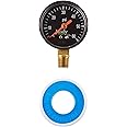 Amazon.com: Zodiac R0556900 Pressure Gauge Replacement for Select ...