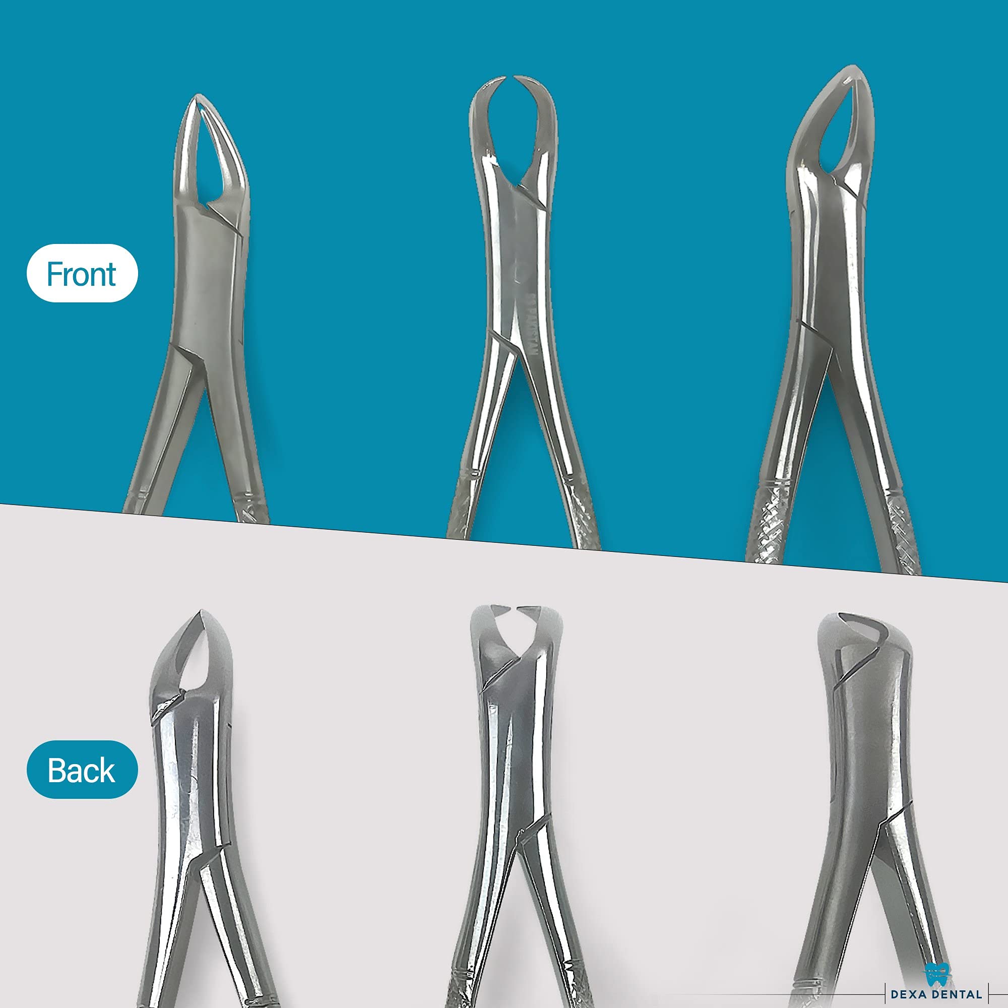 Mua Heavy Duty Dental Extracting Forceps # 150# 151# 23, Apical Forceps ...