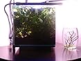 Amazon.com : EcoSphere Closed Aquatic Ecosystem, Small Pod : Aquariums ...