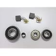Sears Craftsman RM870 RM871 RM872 Motor Rebuild Kit for 137.xxxxxx ...