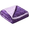 Amazon.com: Satwip Weighted Blanket 20lbs Queen Size Fuzzy Warm Flannel Throw Blanket with Soft ...